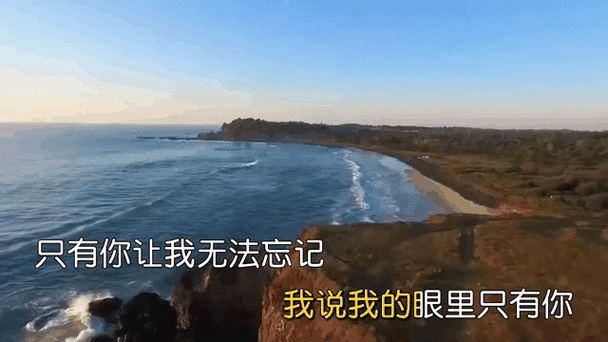 满满的回忆下句图标