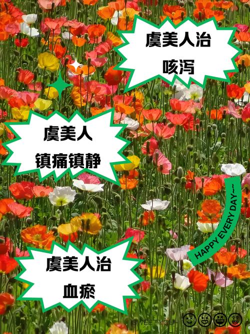 虞美人花粉的功效与作用图标