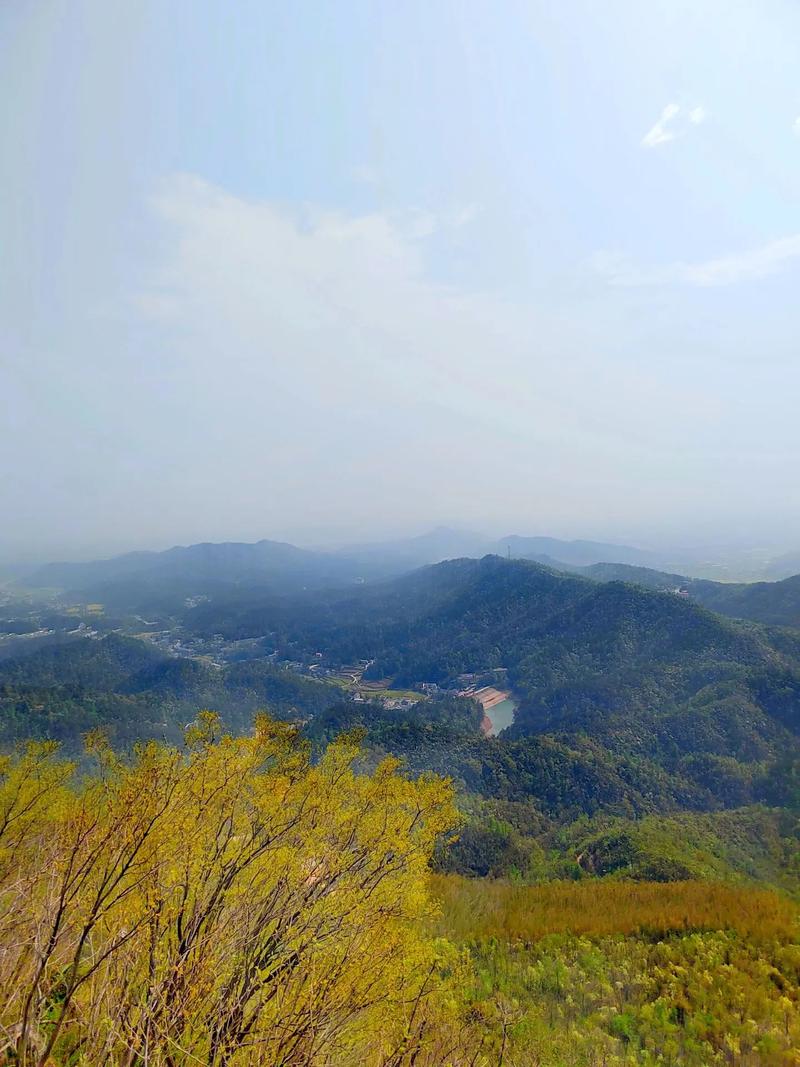 志得意满,再赴春山,不负韶华翻译截图