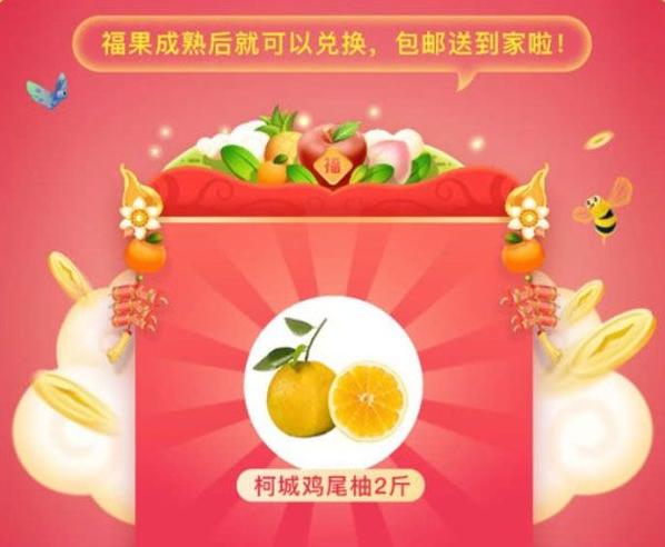 福年种福果靠谱吗图标