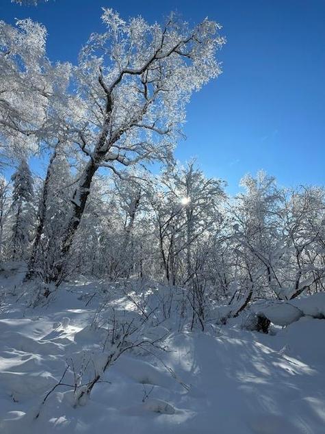 佳能拍雪景用什么镜头图标