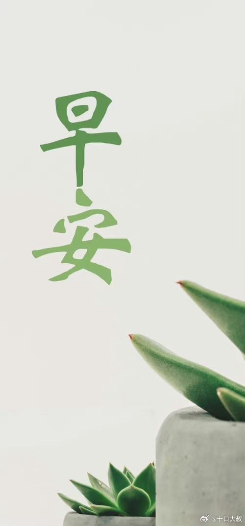 随手拍照片以及感想图标