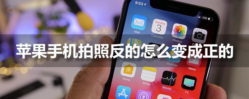 苹果摄像头拍照怎么反过来截图