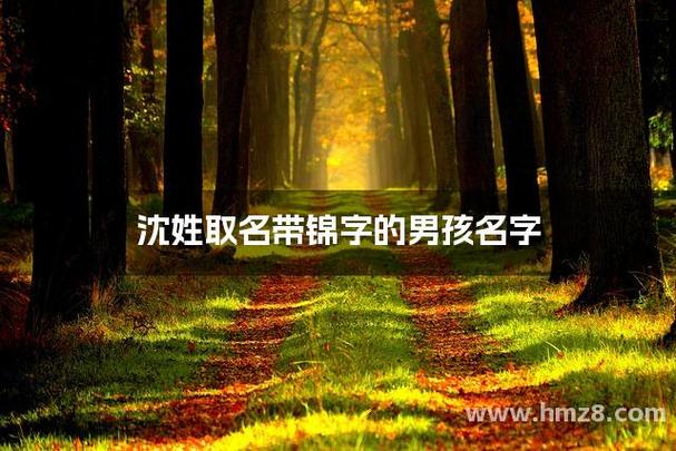 锦字最旺的男孩名字图标