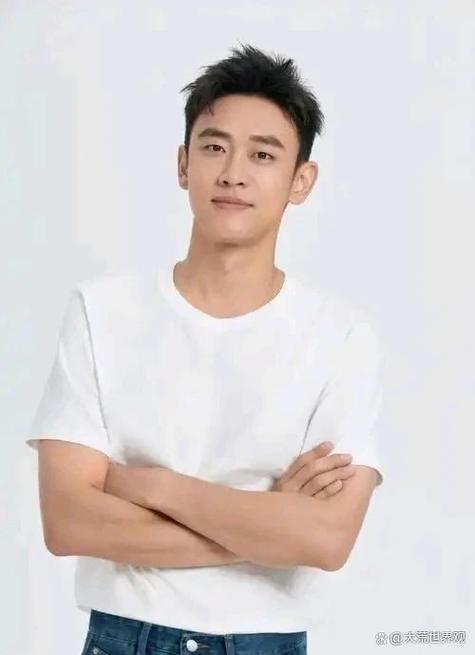王天辰家世截图