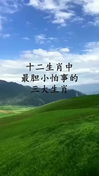 胆小怕事三大生肖图标
