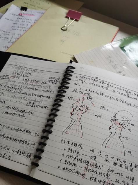 学声乐一般需要几年图标