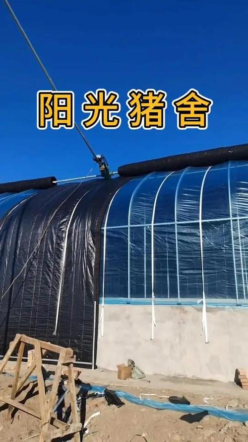 阳光养猪屋截图