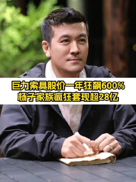 杨子资产有多少亿