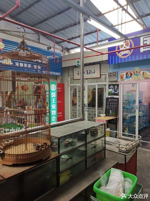 上海宠物市场图标