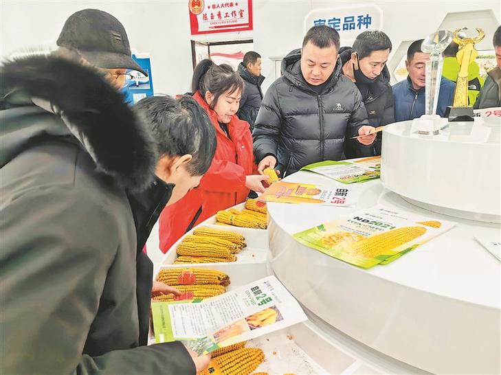 玉米种子主要销售渠道图标