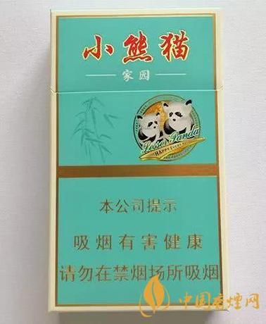 小熊猫熊猫家园图标