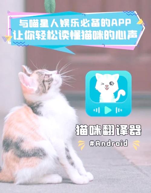 猫的语言可以被翻译吗