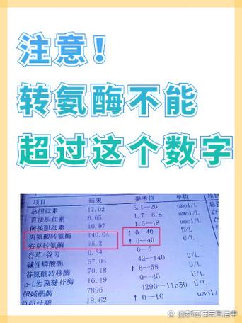 谷丙转氨酶97严重吗?截图