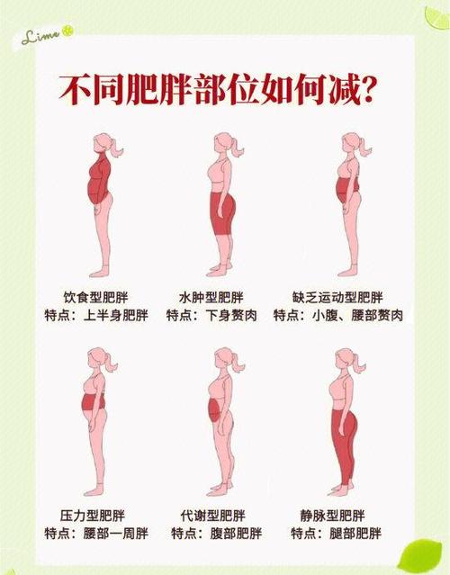 美丽俏佳人瘦肚子按摩图标