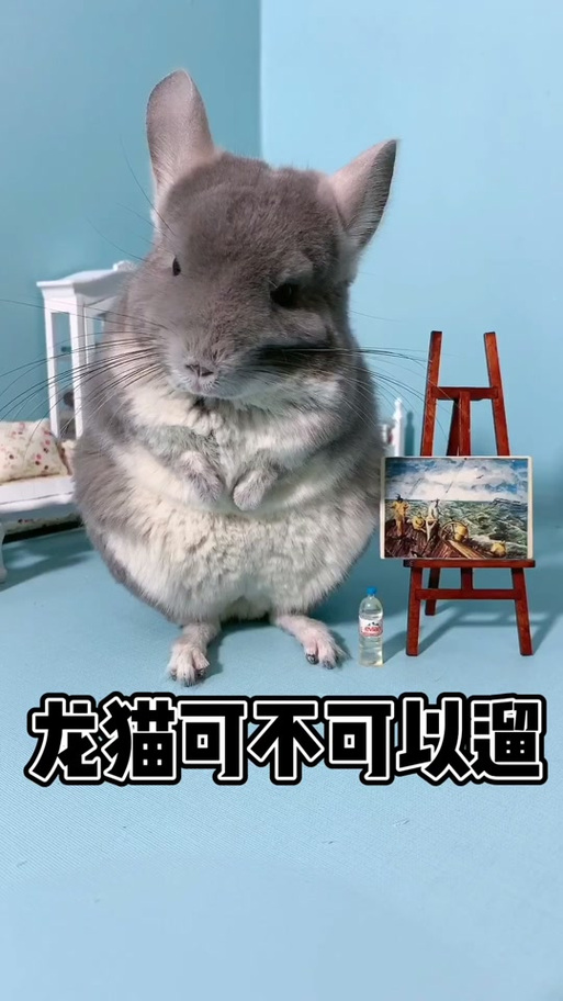 龙猫众包如何解绑