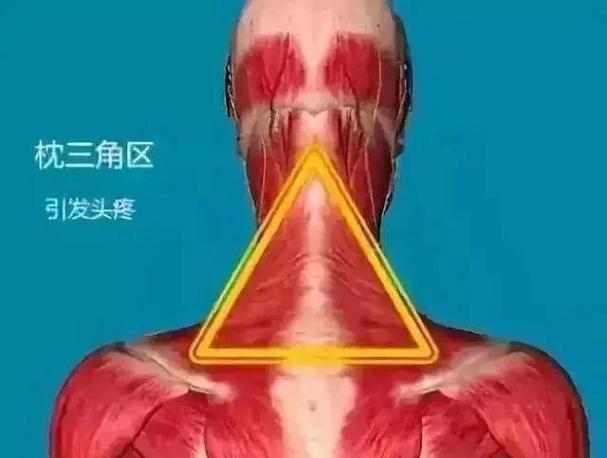 女性开背多久做一次合适图标