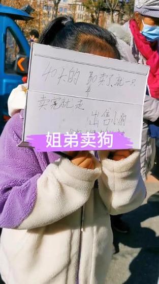 买狗在哪里买比较正规图标