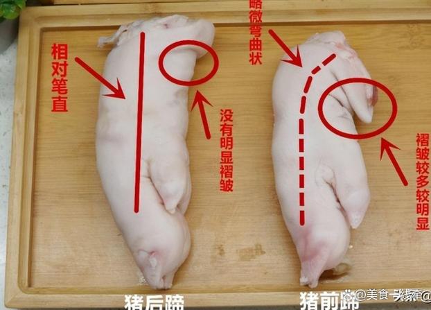猪蹄代表什么爱情暗示图标