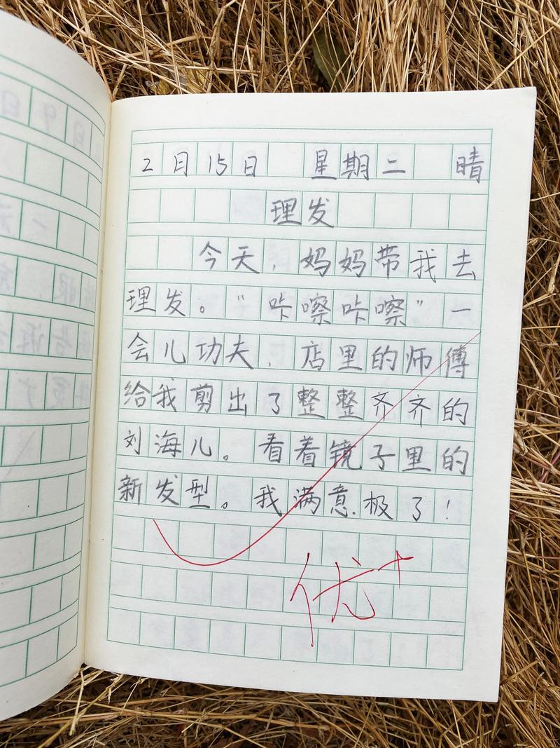 奈的教育日记安卓直装版图标