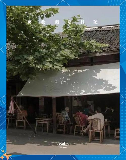 鲜时光停服了,有替代的吗图标