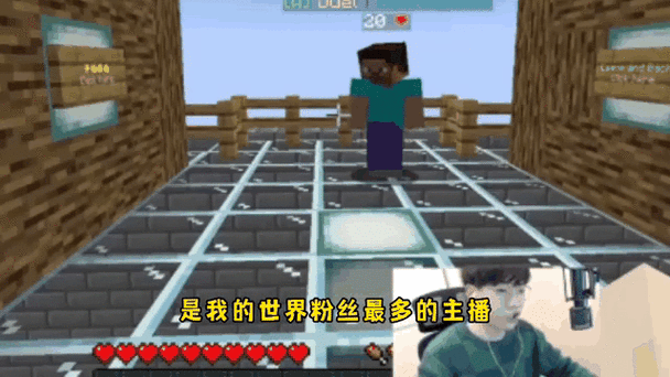 我的世界粉丝最多的主播图标