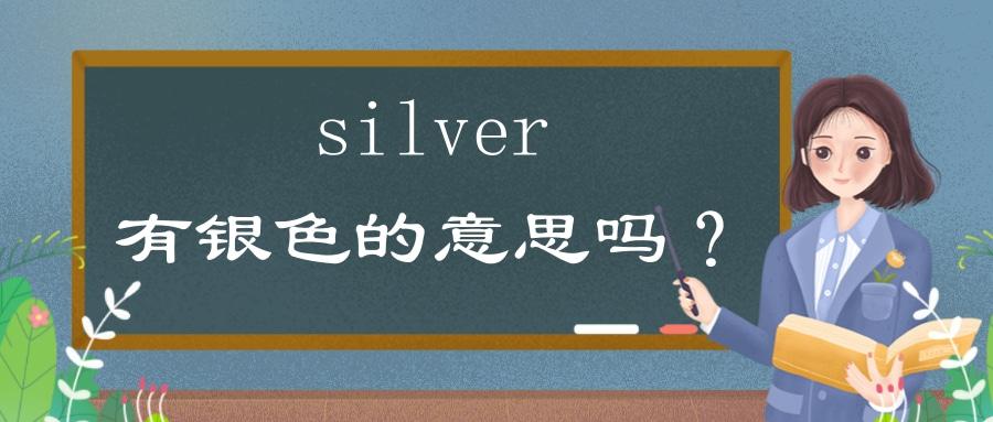 silver在老外眼中的意思图标
