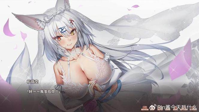 汉化狐狸汉化galgame游戏图标