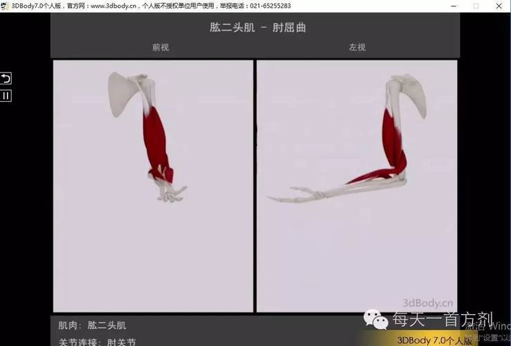 3dbody8·0免费版图标