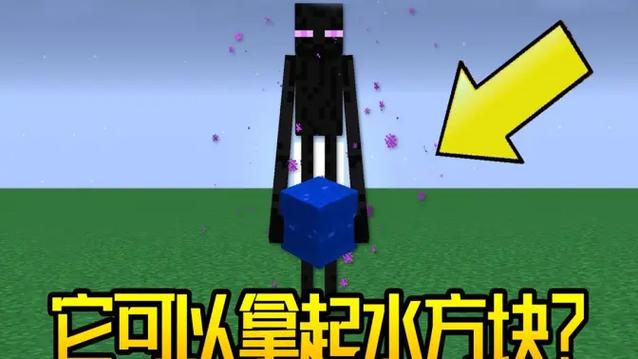 我的世界末影人可以搬动什么方块图标