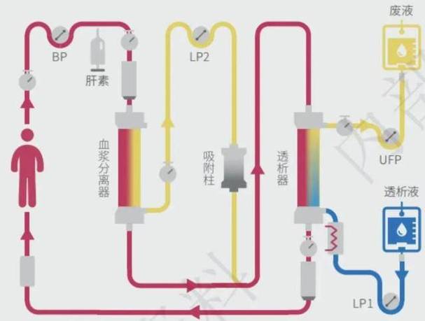 lsp治疗模式截图