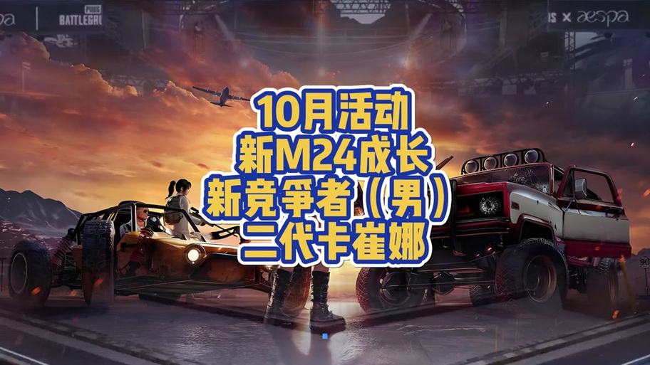 pubgm24皮肤截图