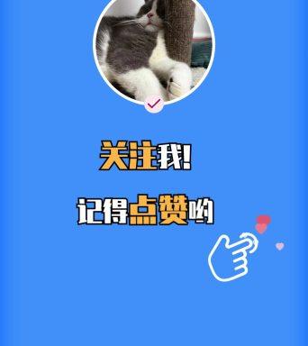 抖音偷偷关注不小心按到赞图标