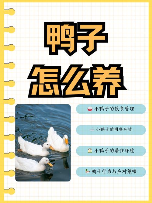 趣养鸭推荐人图标
