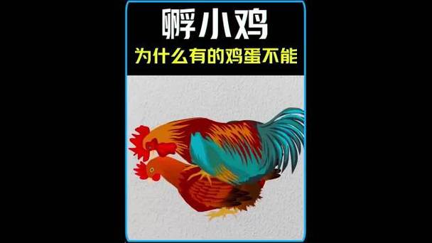 为什么小鸡起不来图标