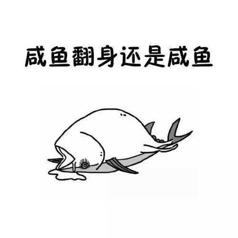 女人晒咸鱼的幽默句子图标