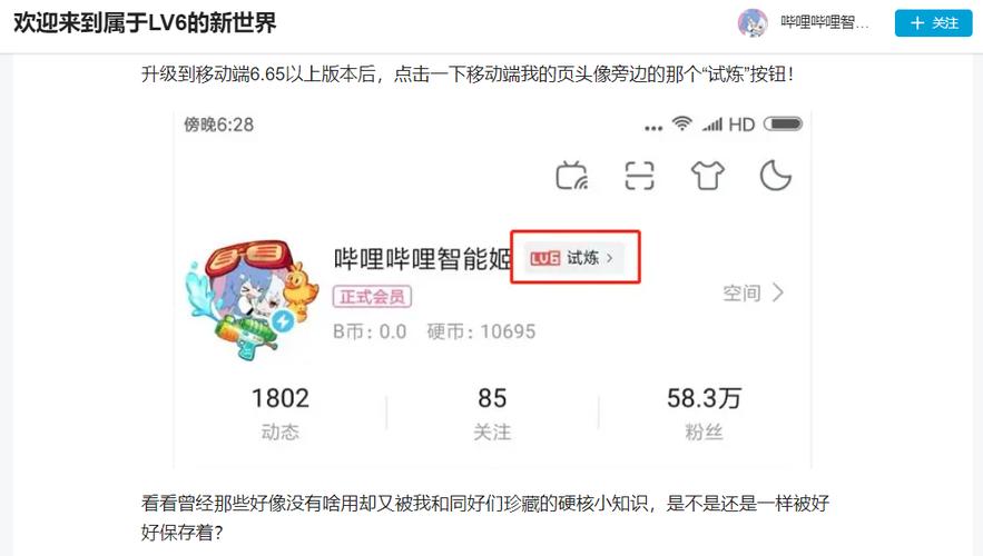 哔哩哔哩6级账号图标