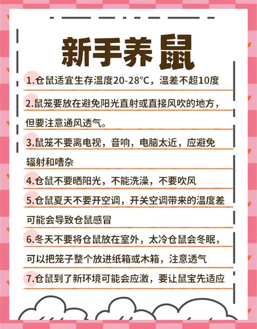 如何养小仓鼠(视频)