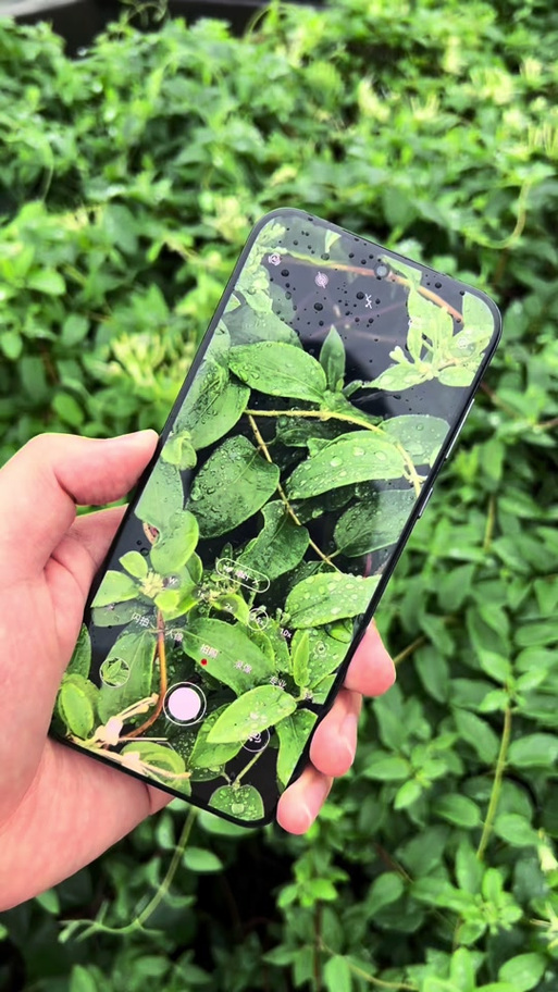 华为绿色应用是什么截图