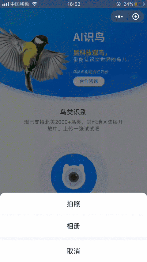 识别动物扫一扫图标