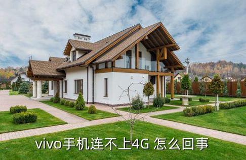 vivo手机4g网络用不了图标