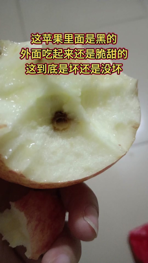 苹果芯免费阅读未删减版图标
