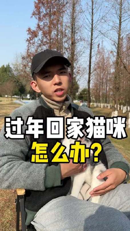 春节回家猫咪怎么办?图标