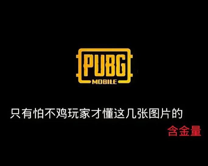 怕不鸡图标