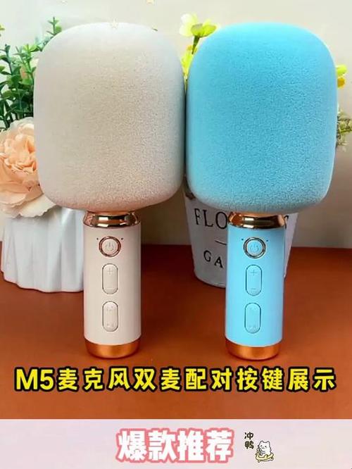 麦克风配对缩略图