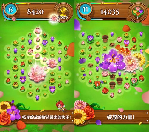 花花传奇苹果版图标