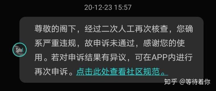 soul一般封号几天图标