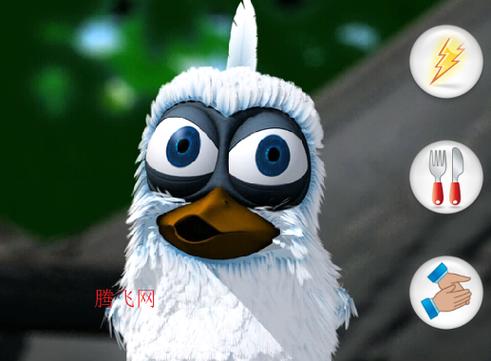 会说话的拉里鸟手机版图标
