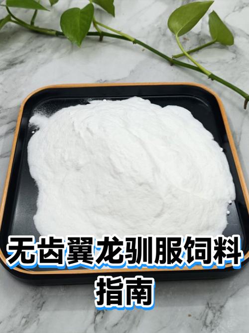 驯服翼龙需要什么条件图标