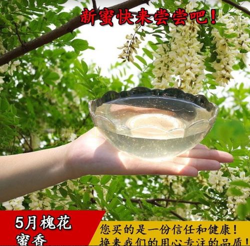 刺槐蜜的作用与功效图标